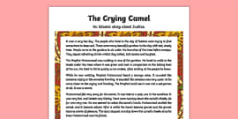 KS1 The Crying Camel Colouring Sheets (teacher made)