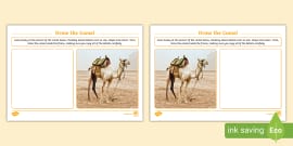 Camel Adaptations Match and Draw | KS3 Biology | Beyond