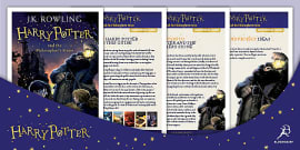 FREE! - Harry Potter Camera Angles Activity Sheet