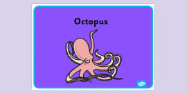 FREE! - Octopus Poster | KS2 | Primary Resources - Twinkl