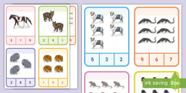 Rainforest Animals Counting to 9 Clip Cards - Twinkl