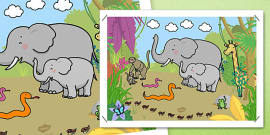 The Rainforest Photo Display Lettering - rainforest, letters