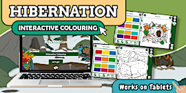 * NEW * Top 10 Facts About Hibernation Display Poster
