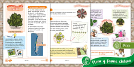 PowerPoint: Flora y Fauna Chilena (Hecho por educadores)