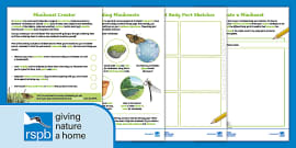FREE! - Grassland Minibeasts Map Reference Sheet - Twinkl