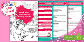 Apostrophe Rules Display Posters - Primary Resources