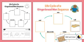 Life Cycle of a Snowman Sequence Cut and Paste Activity