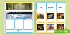 Animal Habitats PowerPoint - Teaching Resource