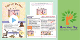 Sense of Touch Differentiated Reading Comprehension Activity