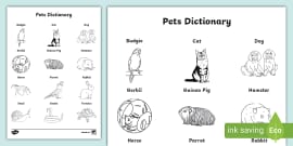 Pets Colouring | Colouring Sheets (teacher made) - Twinkl