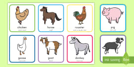 Farm Animal Alphabet Matching Cards - Early Childhood - USA