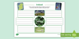 Winter in Ireland Mind Map (teacher made) - Twinkl