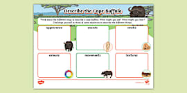 Lion Adjectives Worksheet (teacher made) - Twinkl