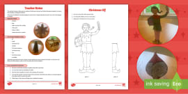 Australian Gumnut Christmas Tree Ornaments Activity - Twinkl