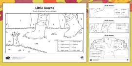 Little Acorns: Life Cycle of an Oak Tree Booklet - Twinkl