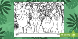 Jungle Art KS1 - Activities - Educational Resources - Twinkl