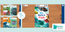 What are the NZ reading levels for Year 1, Year 2, Year 3 and Year 4?