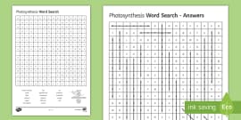 Photosynthesis Loop Cards (Teacher-Made)