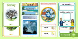 Weather Cards (Large) (teacher made) - Twinkl