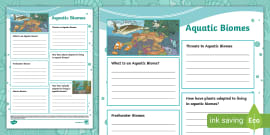 What is the Aquatic Biome? - Answered - Twinkl