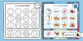 Ocean Animals Gross Motor Activity Cards (teacher made)