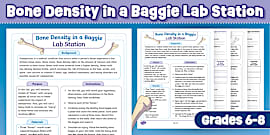 Hands-On Skeletal System: Modeling Lab Station for 6th-8th