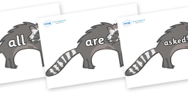 What is a Raccoon? - Answered - Twinkl Teaching Wiki