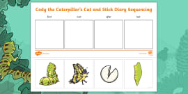 Caterpillar Life Cycle Cut and Stick Worksheet EYFS
