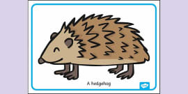 Hedgehog Themed Editable Classroom Area Display Sign