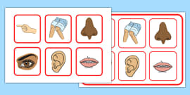 FREE! - Counting Our Body Parts Cut-Out Activity