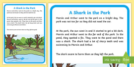 'oo' Long Vowel Sound Phoneme Spotter Story (teacher made)