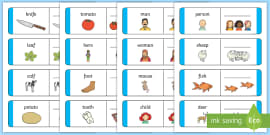 Regular Plural Cards - Singular And Plural Image Cards