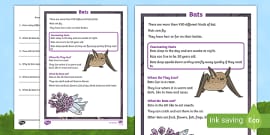Bats Word Search Worksheet / Worksheet, worksheet