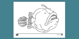 FREE! - Mangrove Jack - Mangrove Red Snapper Fish Colouring Sheet