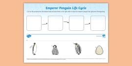 KS1 Emperor Penguin Reading Comprehension Worksheet - Twinkl