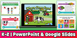 Where Does Wool Come From? Fact File Template
