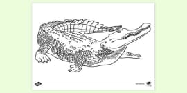 FREE! - Crocodile Do a Dot Activity (Hecho por educadores)