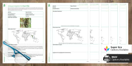 Bioaccumulation Worksheet (teacher made) - Twinkl