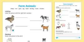 The Farm Simple Sentence Writing Prompt Pictures Activity