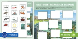 What is a kelp forest? - Information & Teaching Resources