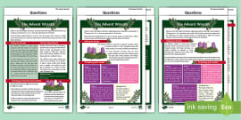 Fifth Grade Advent Reading Comprehension Activity