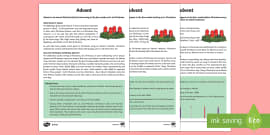 KS2 Christmas Trees Differentiated Fact File (teacher made)