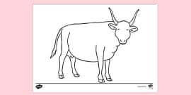 Cow (Thinner Lines) Colouring Sheet | Colouring Sheets