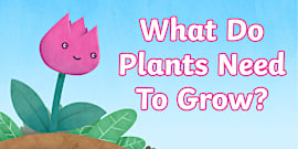 What Do Plants Need to Grow? Animated PowerPoint and Quiz