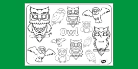 All About Owls Fact Files (teacher made) - Twinkl
