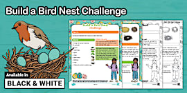 KS1 (Ages 5-7) Activity Video: Building a Bird's Nest STEM Challenge