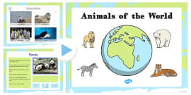 Animal Habitats PowerPoint (teacher made)