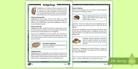 Pythons Differentiated Fact File - python, snake, coil, tree, prey, meat