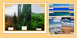 North America Display Banner