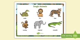 Desert Animals Word Mat (teacher made)